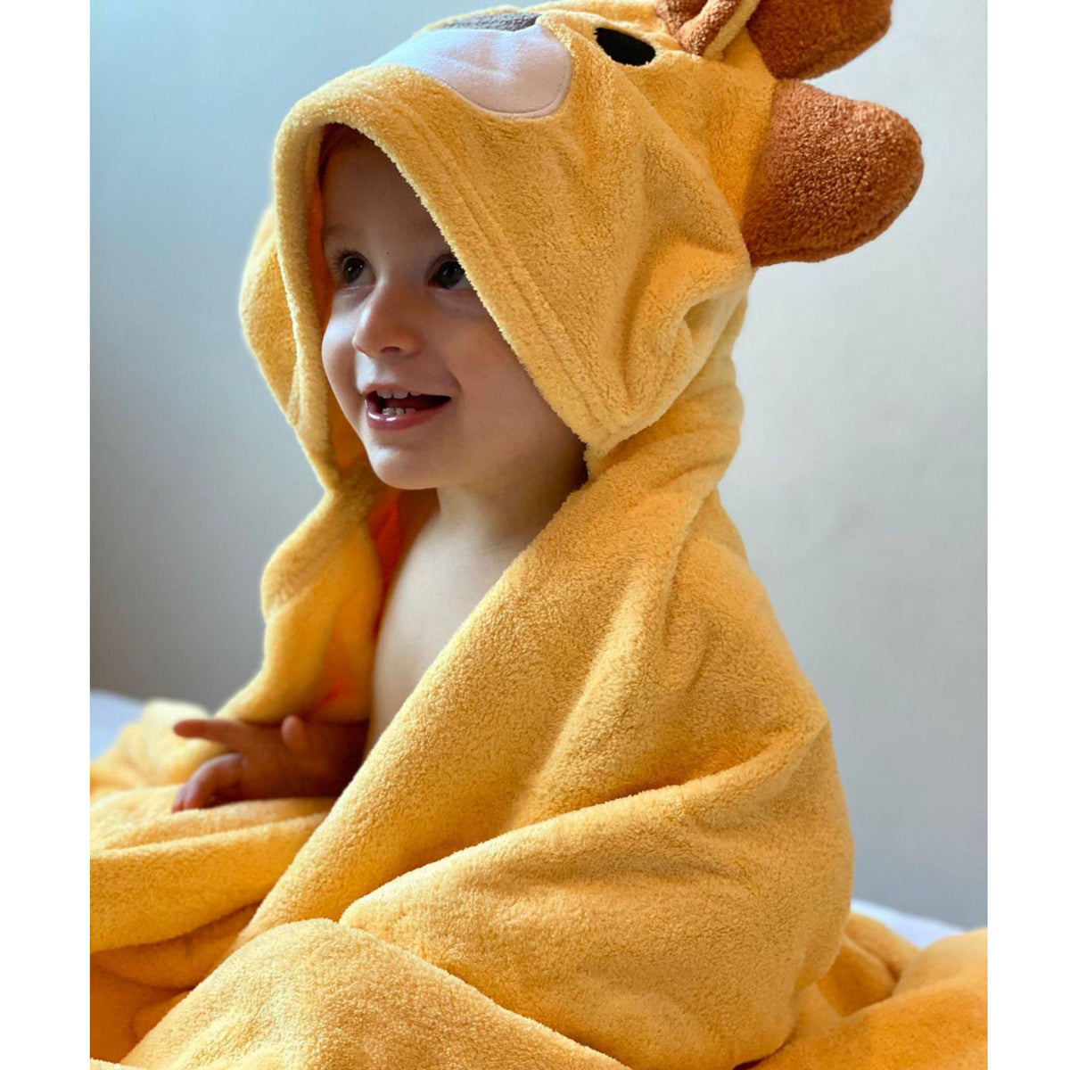 Toalla Infantil Con Capucha León. – Telary home.